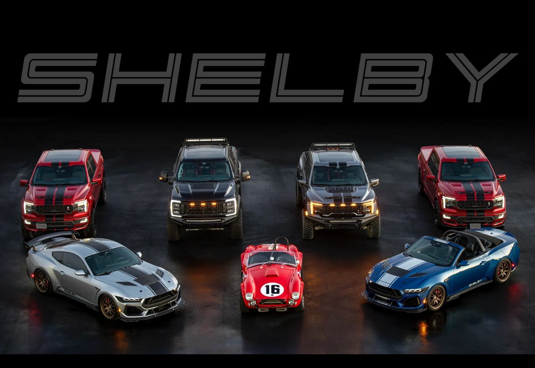 TEAM SHELBY MEMBERSHIP